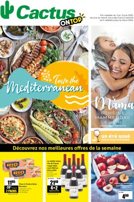 Cactus Luxembourg: Promos et Catalogues (2025)