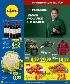 Lidl Luxembourg: Promos et Catalogues (2025)