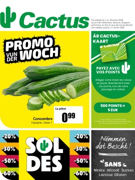 Cactus Kayl: Promos et Catalogues (2025)