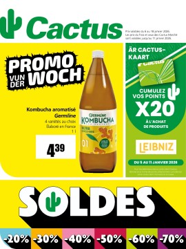 Cactus Kayl: Promos et Catalogues (2025)